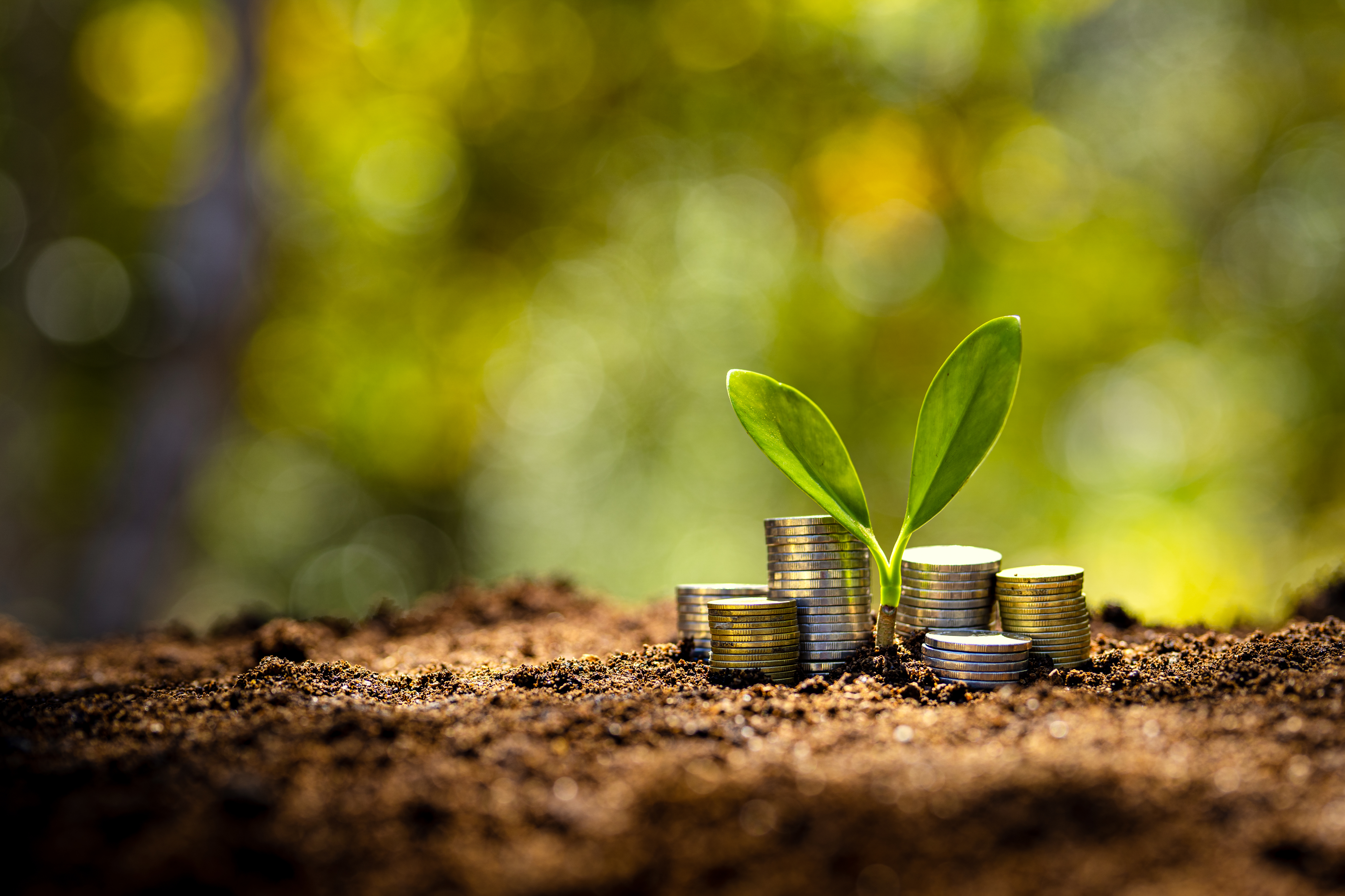 Making Money Matter: Green Loans & Ethical Finance - Indigo Finance
